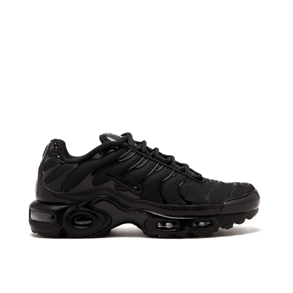 Nike Air Max TN South Africa | Level Shoes