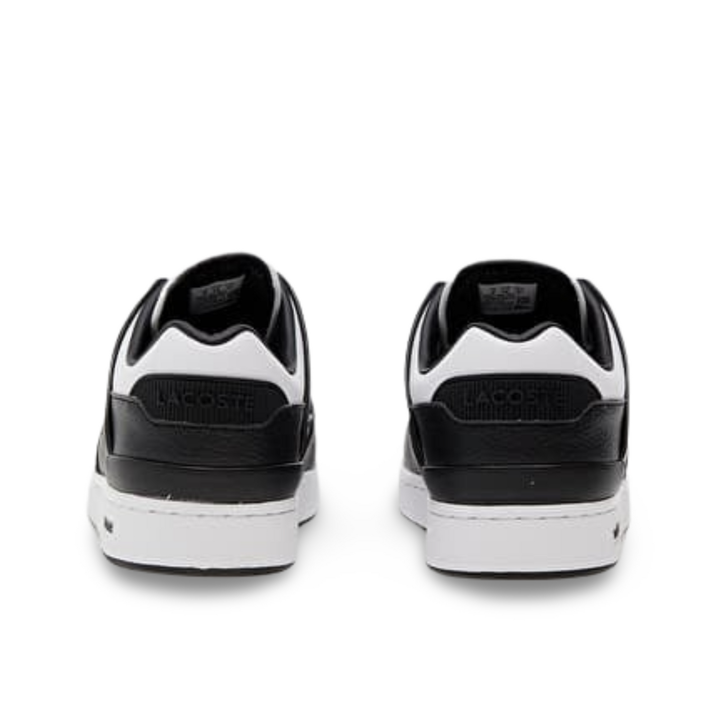 lacoste Court Cage White/ Black – Level Shoes